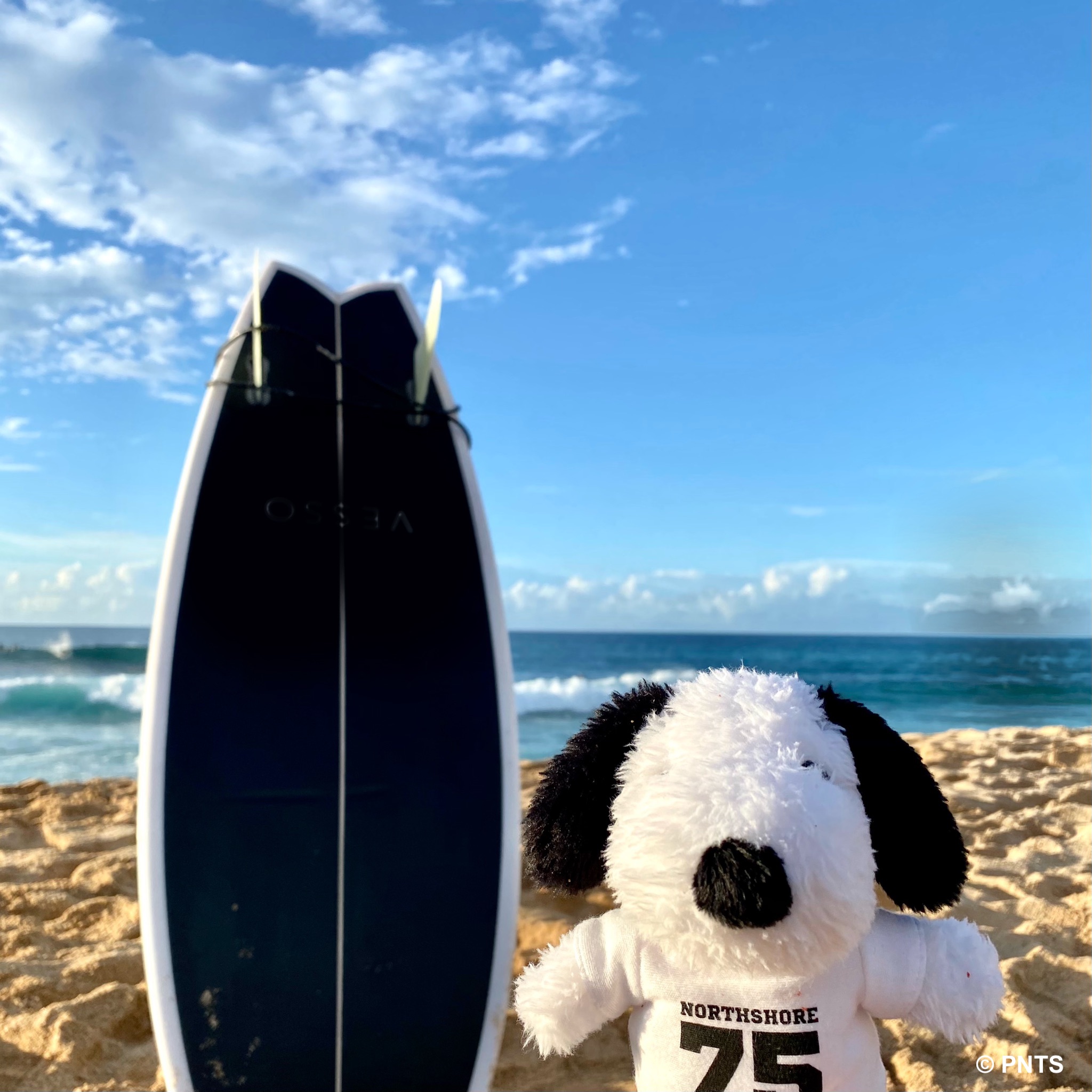 NORTHSHORE , HAWAII | Snoopy’s Surf Shop