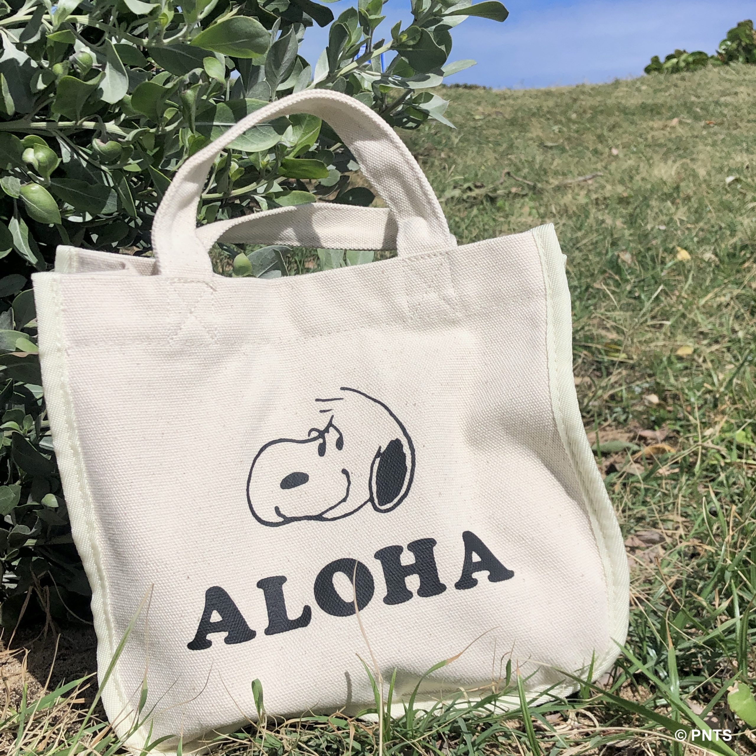 Aloha Toteバッグでピクニック♪ | Snoopy’s Surf Shop