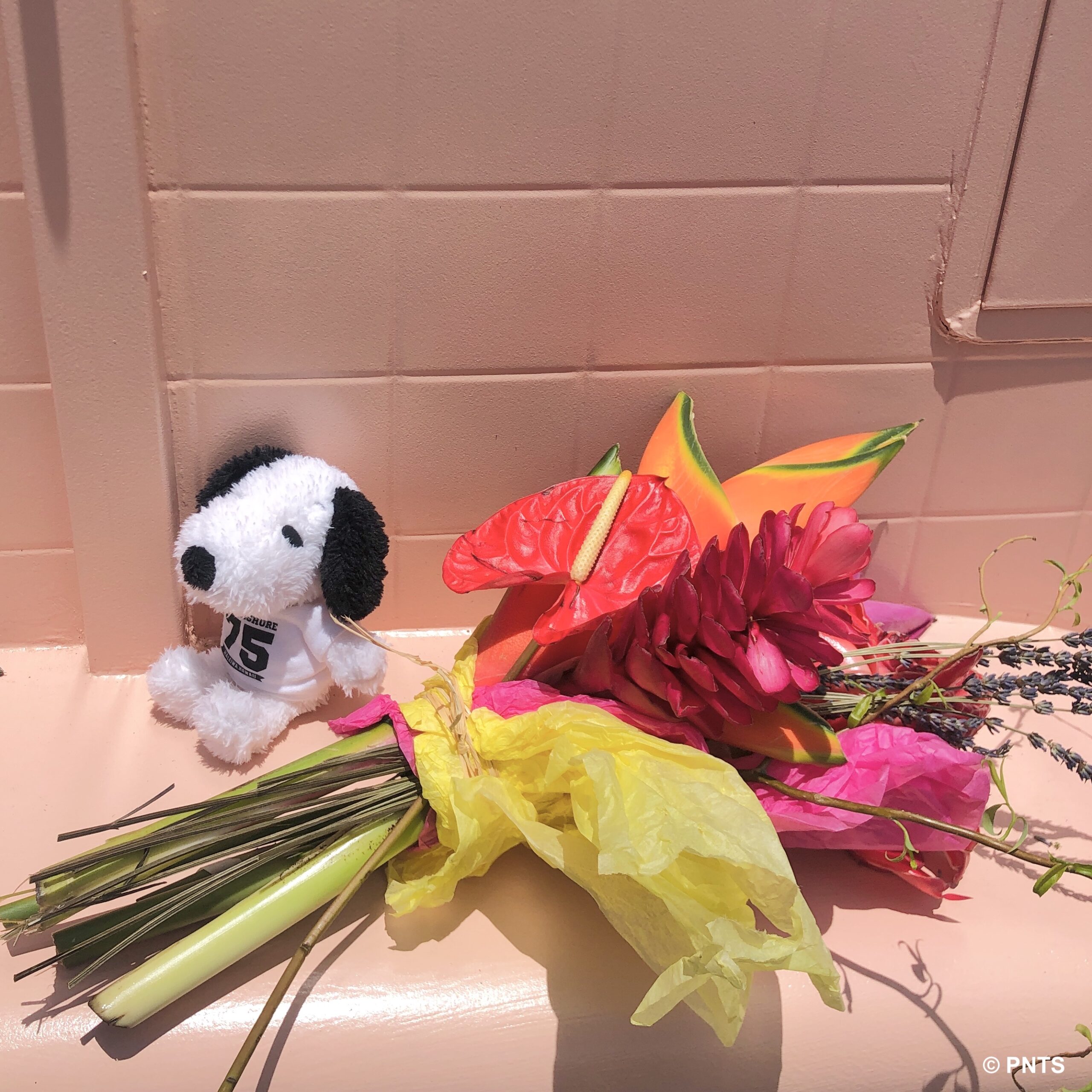 アロハなSNOOPYをプレゼントに♪ | Snoopy’s Surf Shop