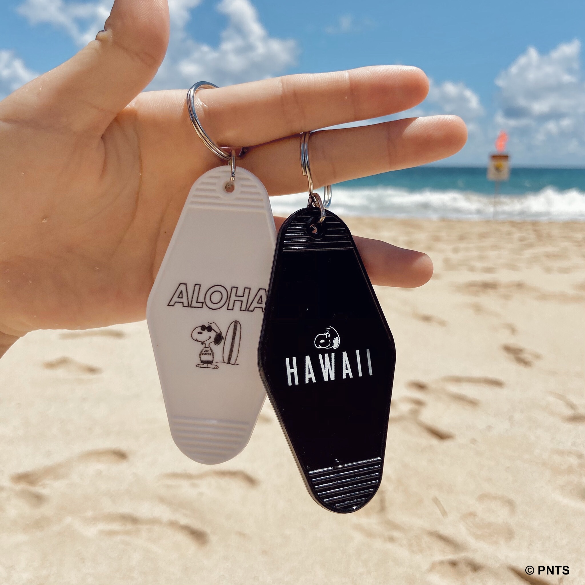 Aloha Hawaii! | Snoopy’s Surf Shop