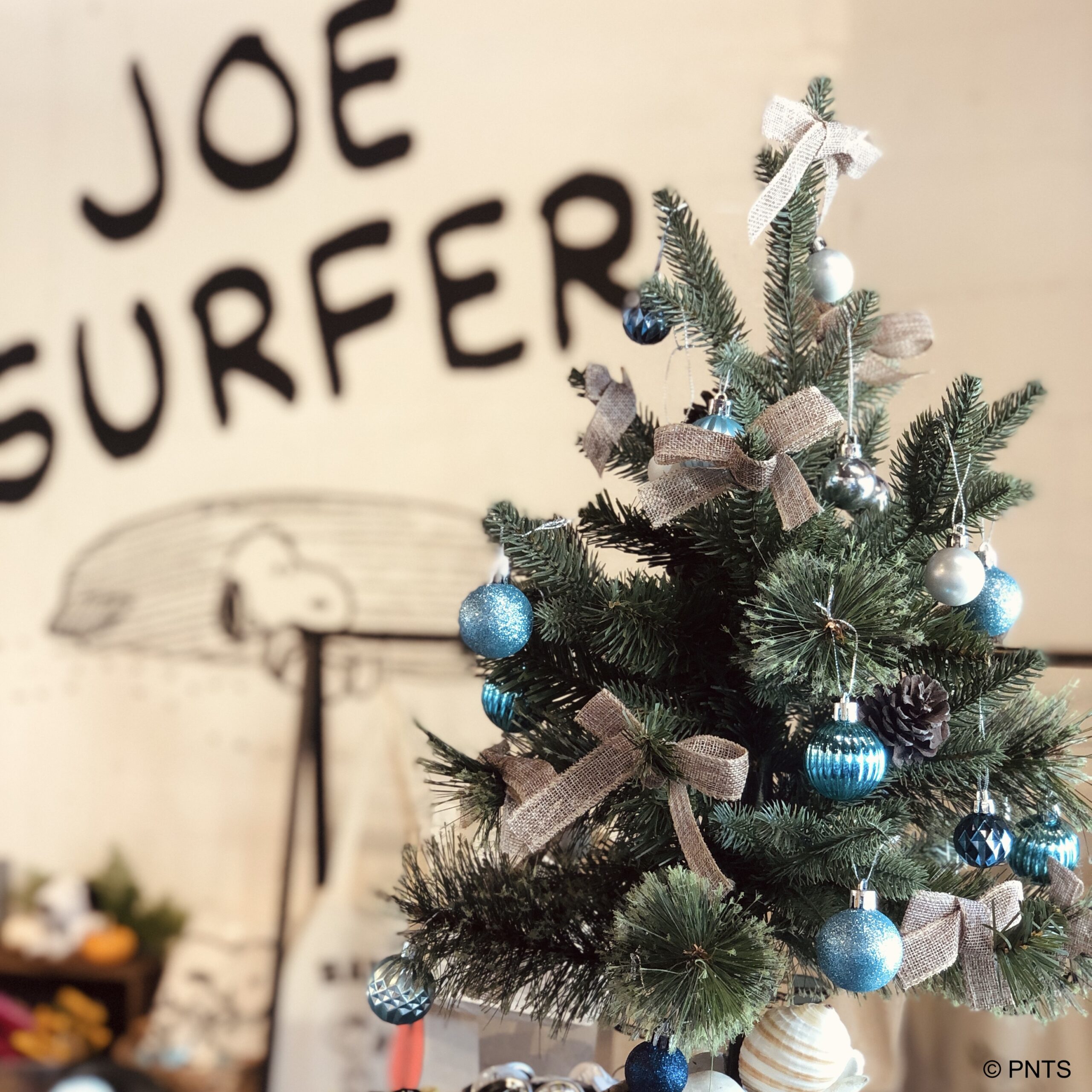 Aloha ,December！ | Snoopy’s Surf Shop