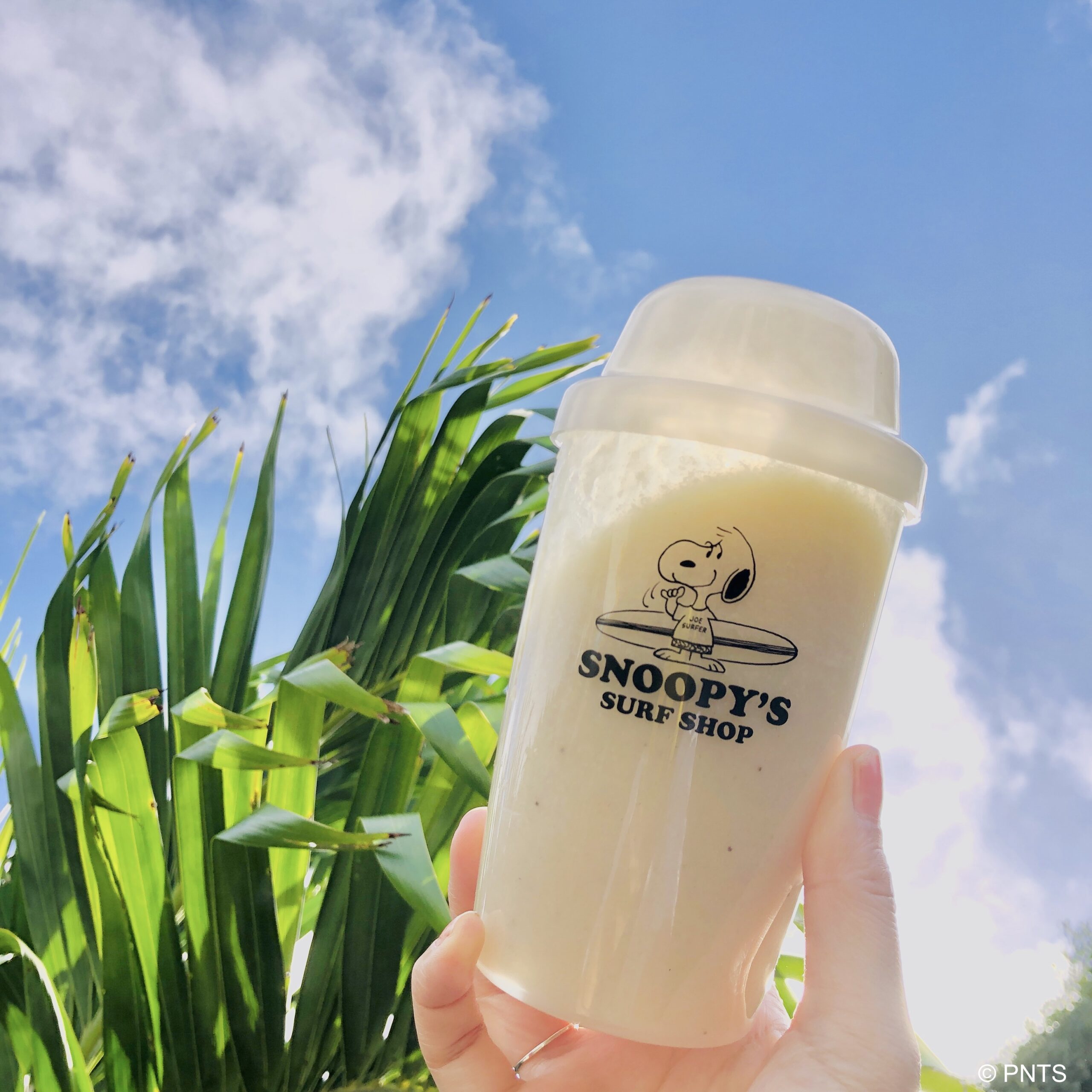 Shake Shake Shake ! | Snoopy’s Surf Shop