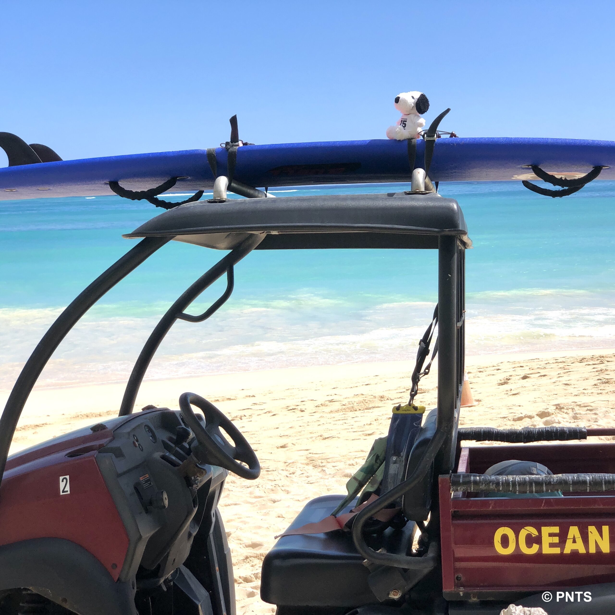 Aloha from Hawaii ! | Snoopy’s Surf Shop