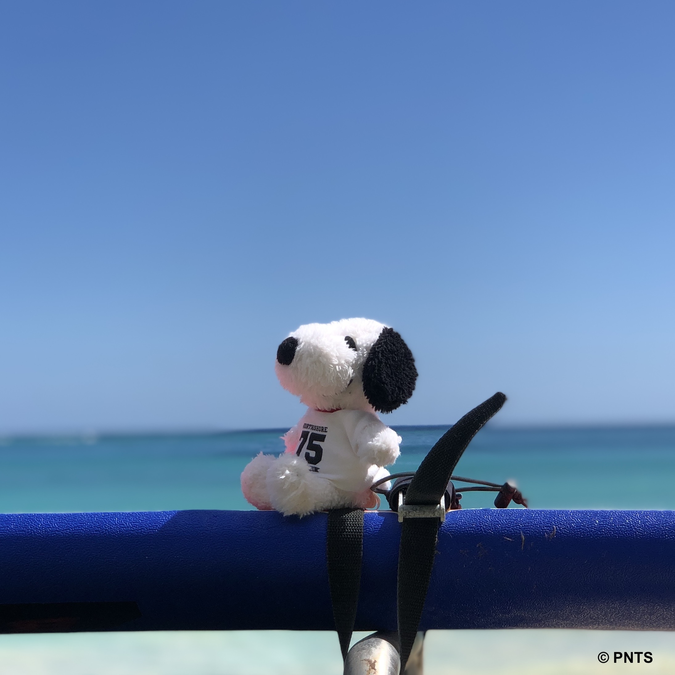 Aloha from Hawaii! | Snoopy’s Surf Shop