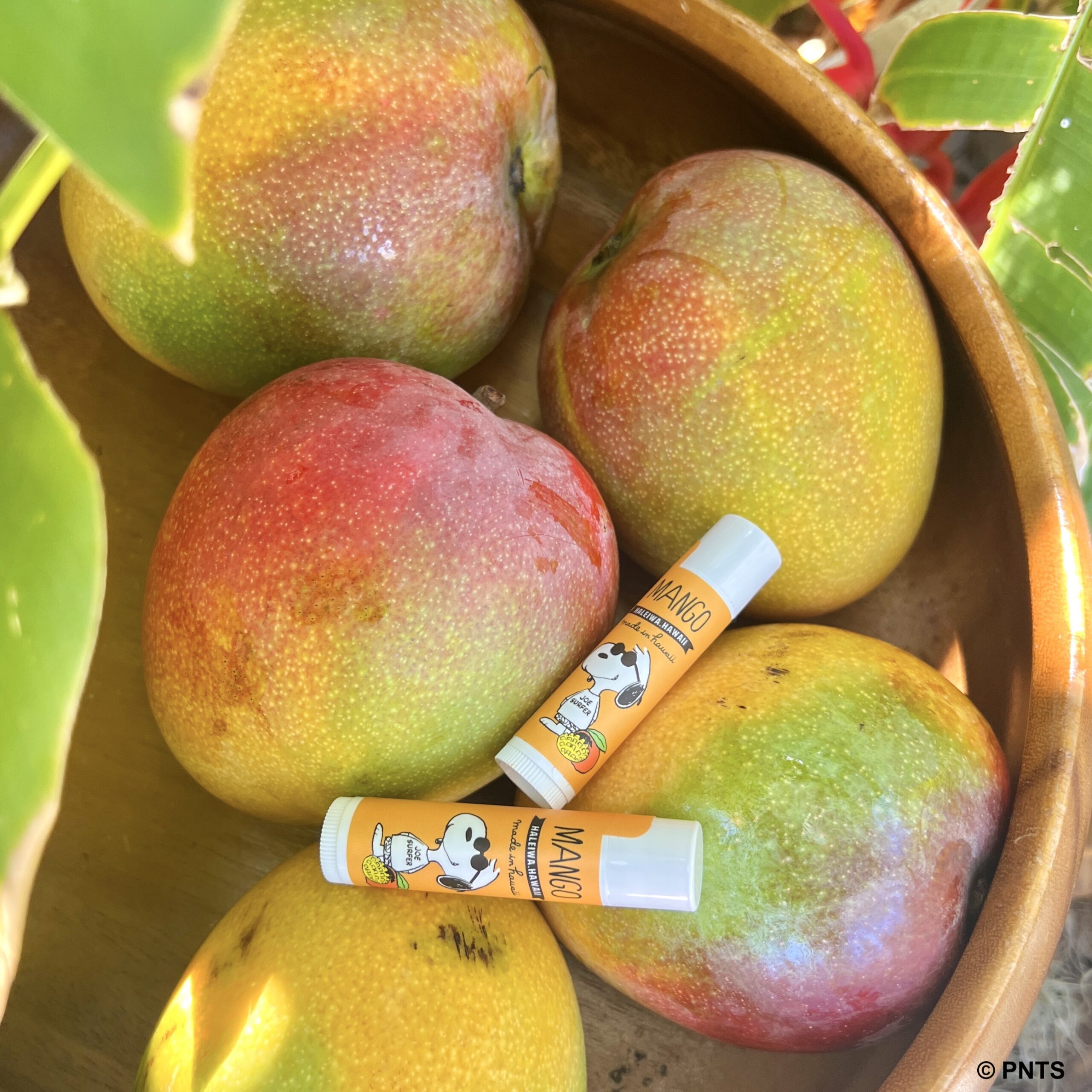Natural Mango Lip balm ♪ | Snoopy’s Surf Shop