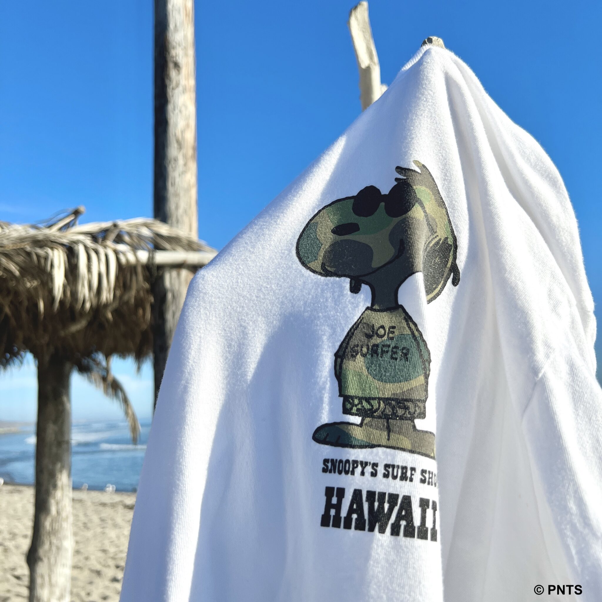 Online Exclusive ★ Camo Joe Surfer T-shirts | Snoopy’s Surf Shop