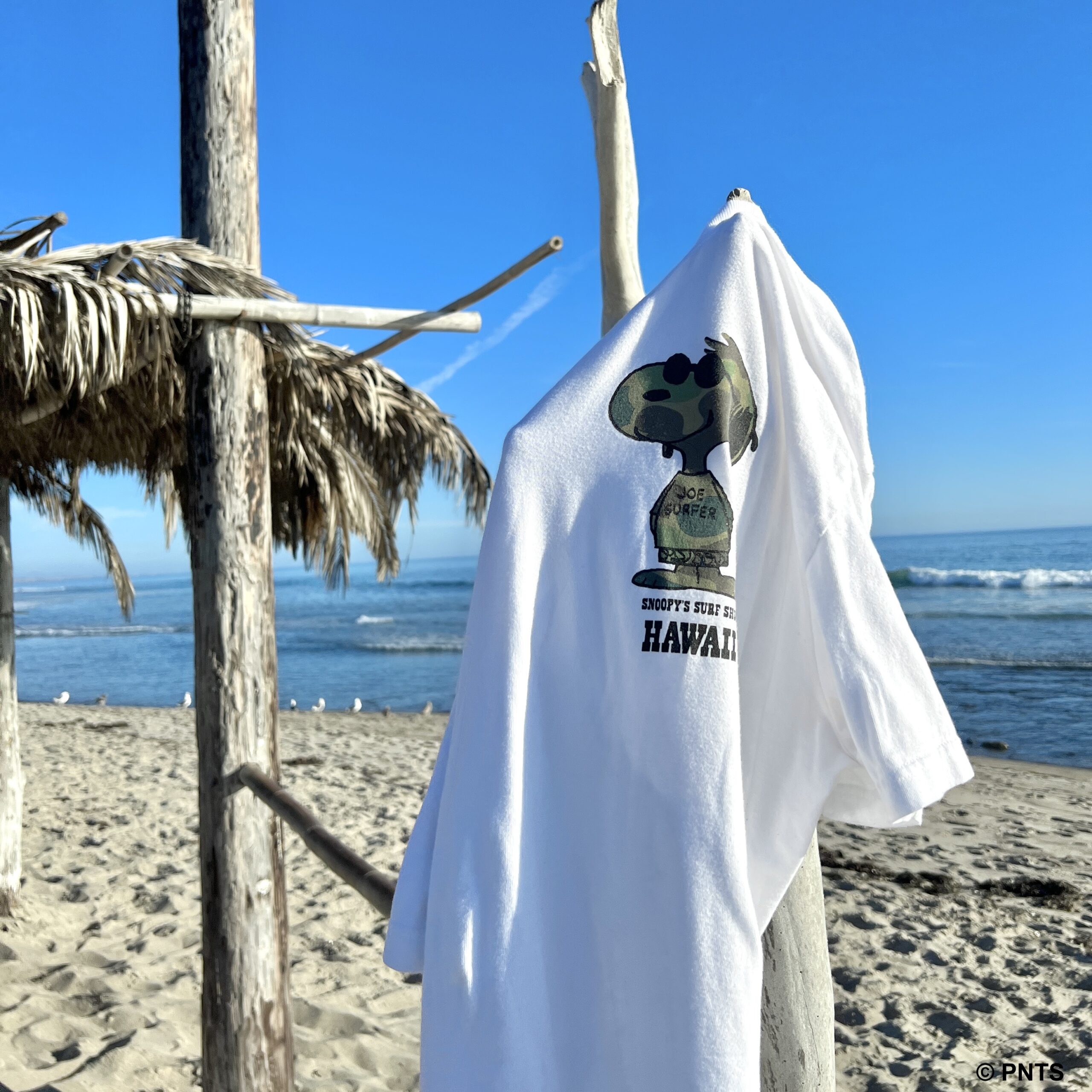 Online Exclusive ★ Camo Joe Surfer T-shirts | Snoopy’s Surf Shop