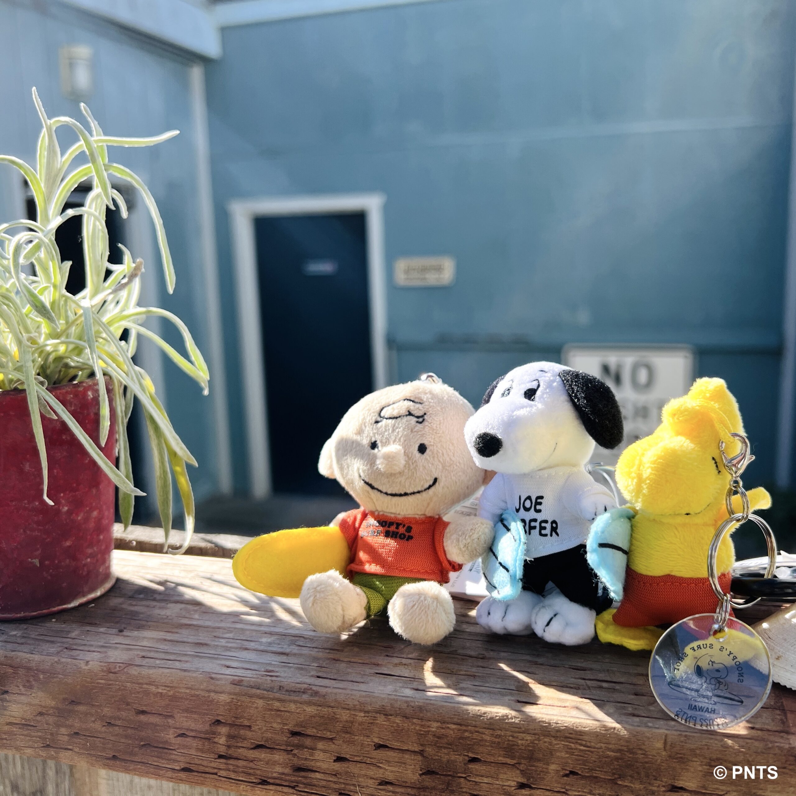 Aloha ! | Snoopy’s Surf Shop