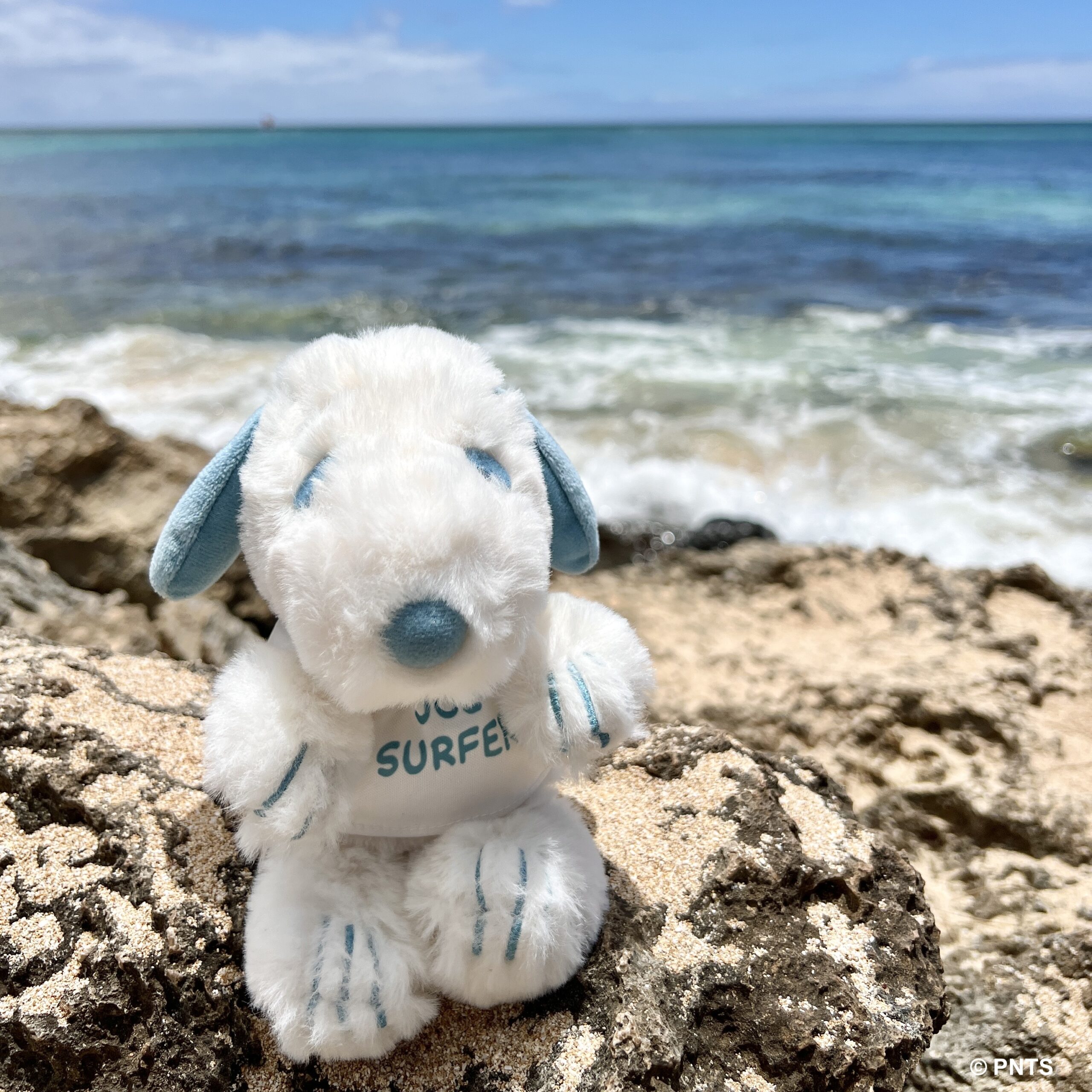 Aloha! North Shore | Snoopy’s Surf Shop