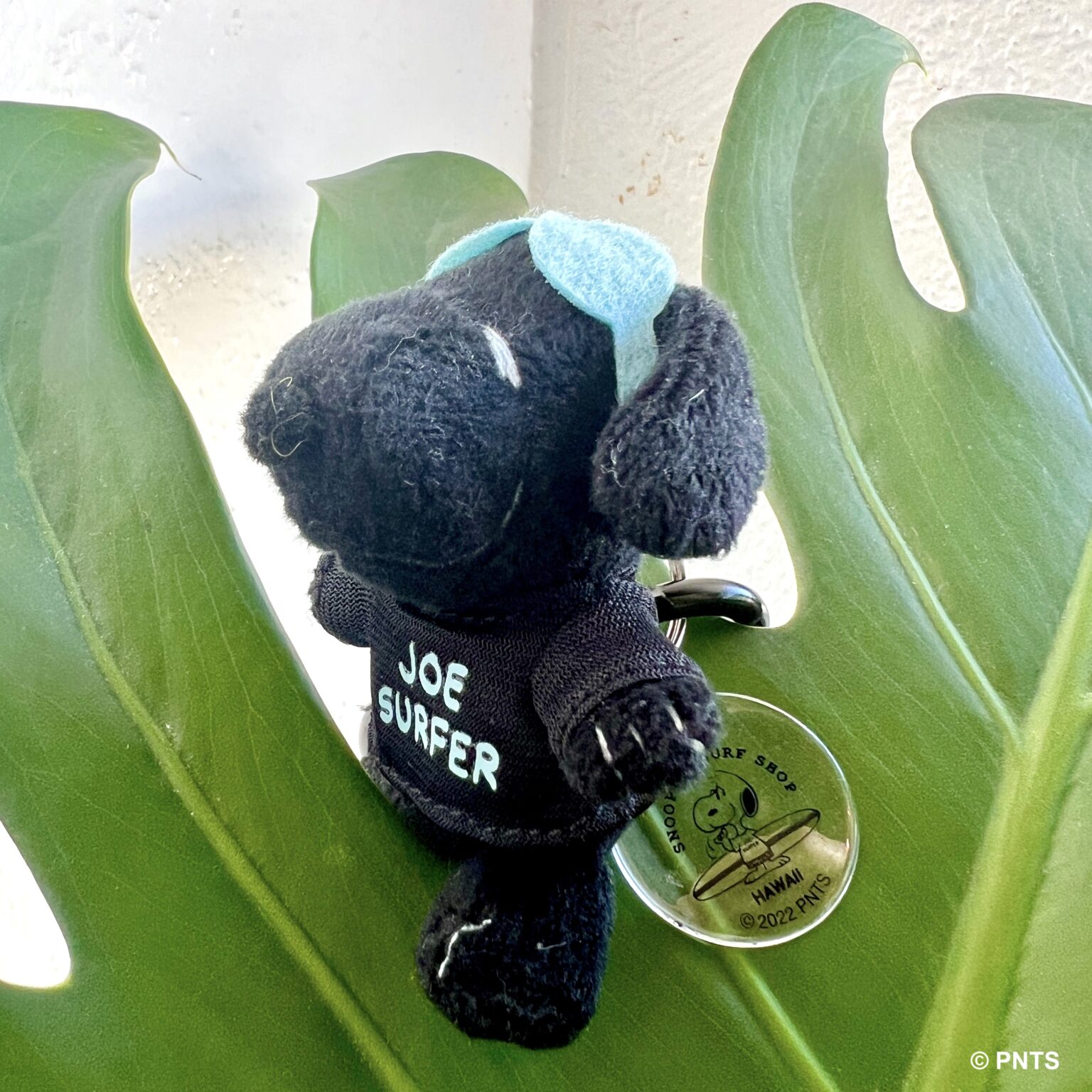 JOE SURFER SHADOW SNOOPY The secret of the mascot | Snoopy’s Surf Shop