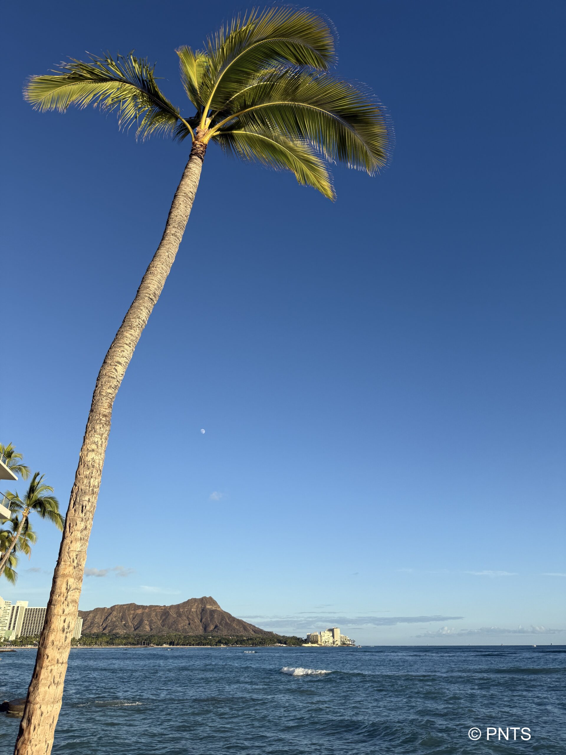 Aloha from Hawaii! | Snoopy’s Surf Shop