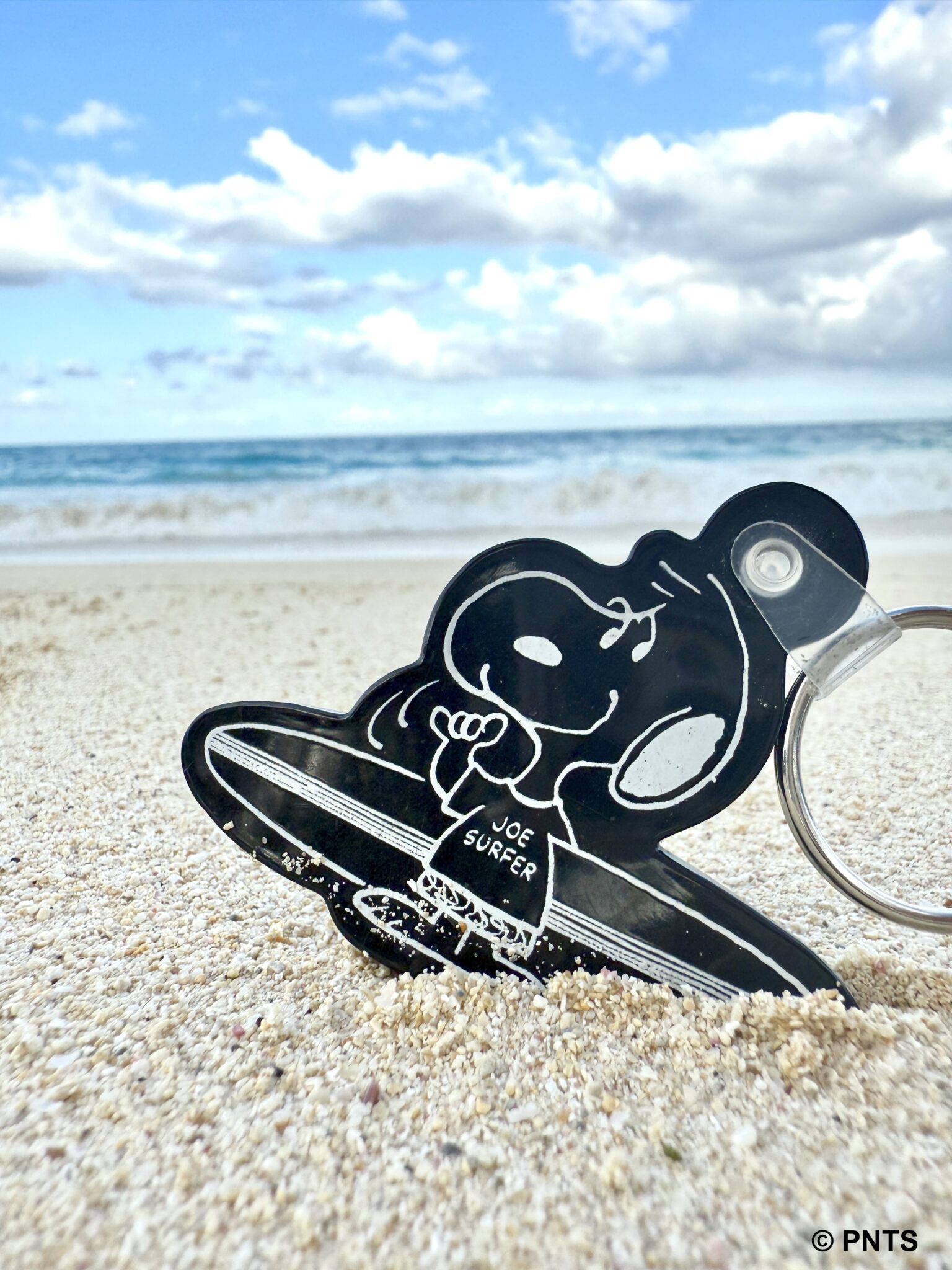 “Joe Surfer” from SNOOPY’S SURF SHOP | Snoopy’s Surf Shop